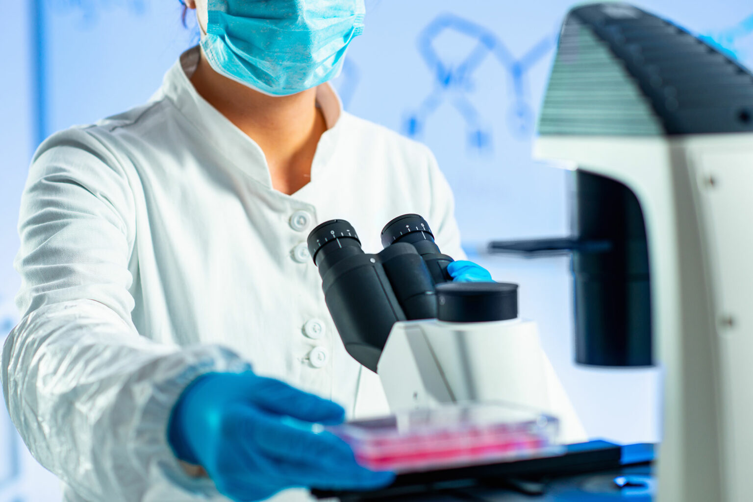 Stem Cell Explanation: A Deep Dive into Regenerative Medicine with Dr. Hamm