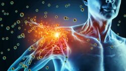 Stem Cell Therapy for Rotator Cuff Repair Options